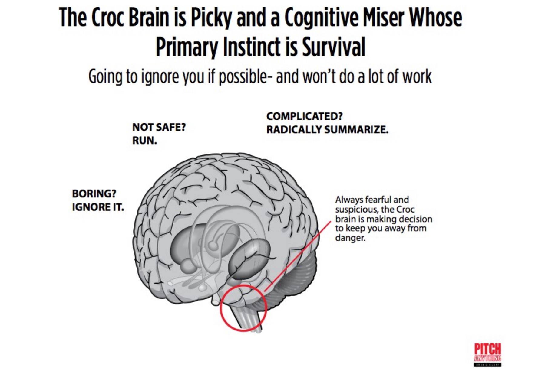 Message and Receiver Disconnects - The Three Dimensional Brain ...